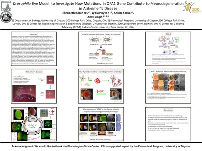 "Investigation of the role of OPA1 gene mutation in amyloid-beta 42 med"