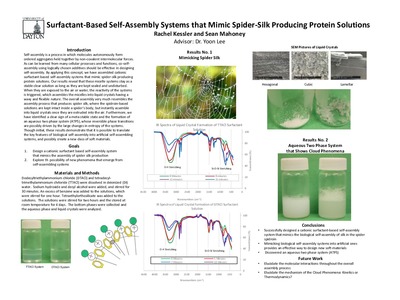 "Surfactant-Based Self-Assembly Systems that Mimic Spider-Silk Producin"
