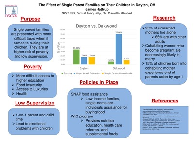 "Struggles in Single Parent Households"