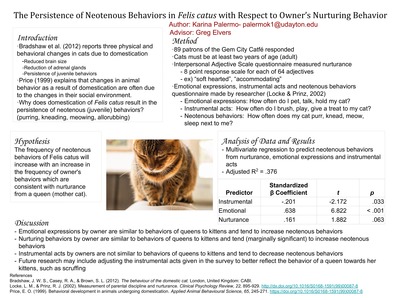 "The Persistence of Neotenous Behaviors in Felis catus"