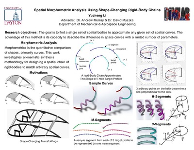 "Spatial Morphometric Analysis Using Shape-Changing Rigid-Body Chains"