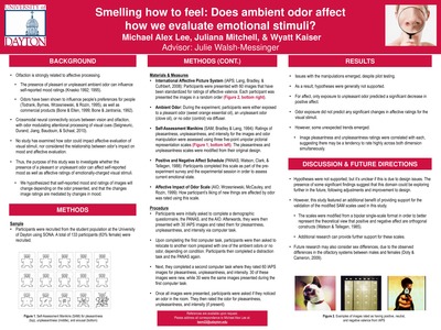 "Smelling How to Feel: The Role of Ambient Odor and Olfaction in Affect"