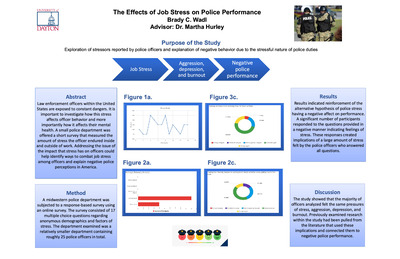 "The Effect of Job Stress on Police Officer Performance"