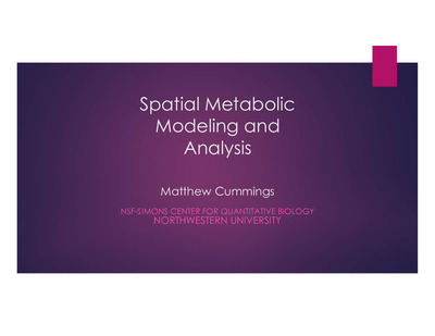 "Spatial Metabolic Modeling and Analysis"