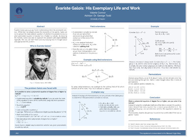 "The Life and Work of Mathematician Évariste Galois"