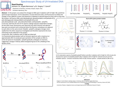 "Spectroscopic Study of UV-Irradiated DNA"