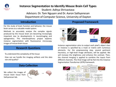 "Instance Segmentation to Identify Mouse Brain Cell Types"
