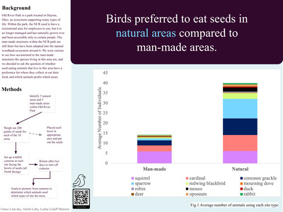 "Urban Structures’ Effect on Seed-Eating Predators at Old River Park"