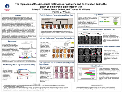 "The regulation of the Drosophila melanogaster pale gene and its evolut"