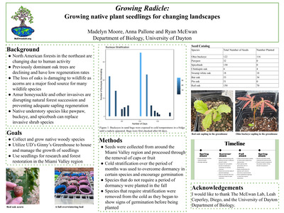 "Growing Radicle: Growing native plant seedlings for changing landscape"