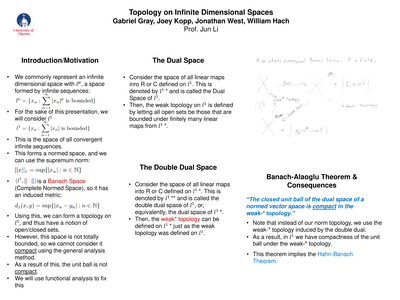 "Topology on Infinite Dimensional Spaces"