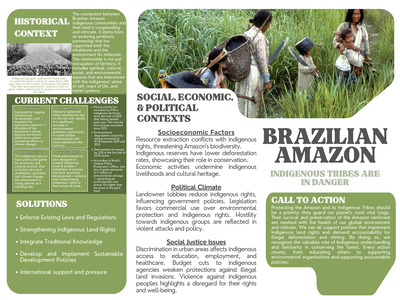 "Sustainability issues in Brazil: the Brazilian Amazon and its indigeno"