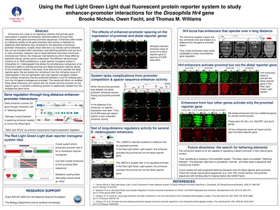 "Using the Red Light/Green Light dual fluorescent protein reporter syst"