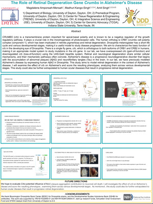 "The Role of Retinal Degeneration Gene Crumbs in Alzheimer's Disease"