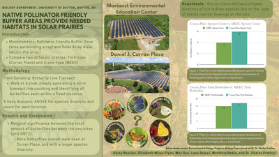 "Wings and Watts: Butterfly Communities in Microhabitats of Solar Prair"